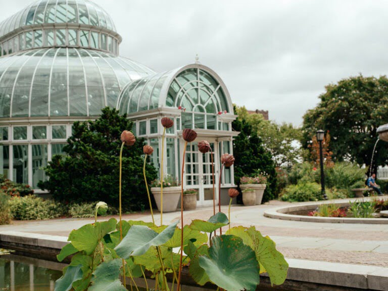 Activities and Attractions: What to do in The Bronx, New York